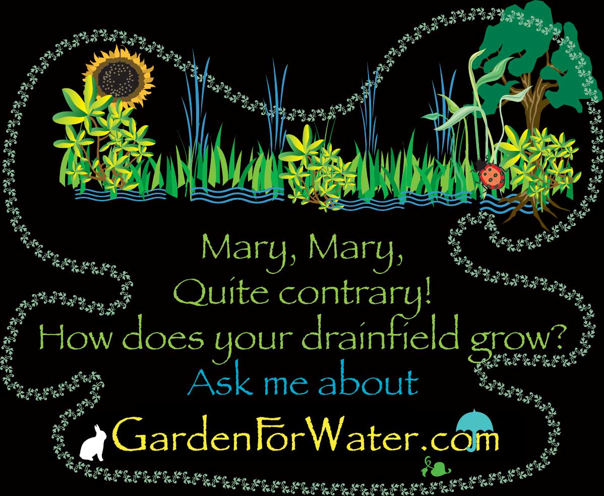 GardenForWatersm | WasteWaterEducation-Information